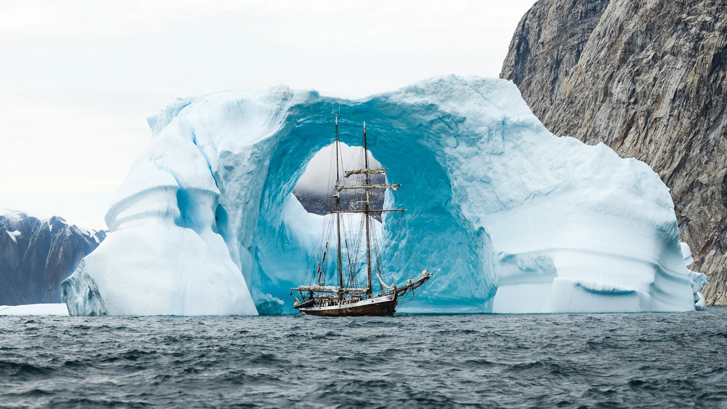 The Laid-Back Company