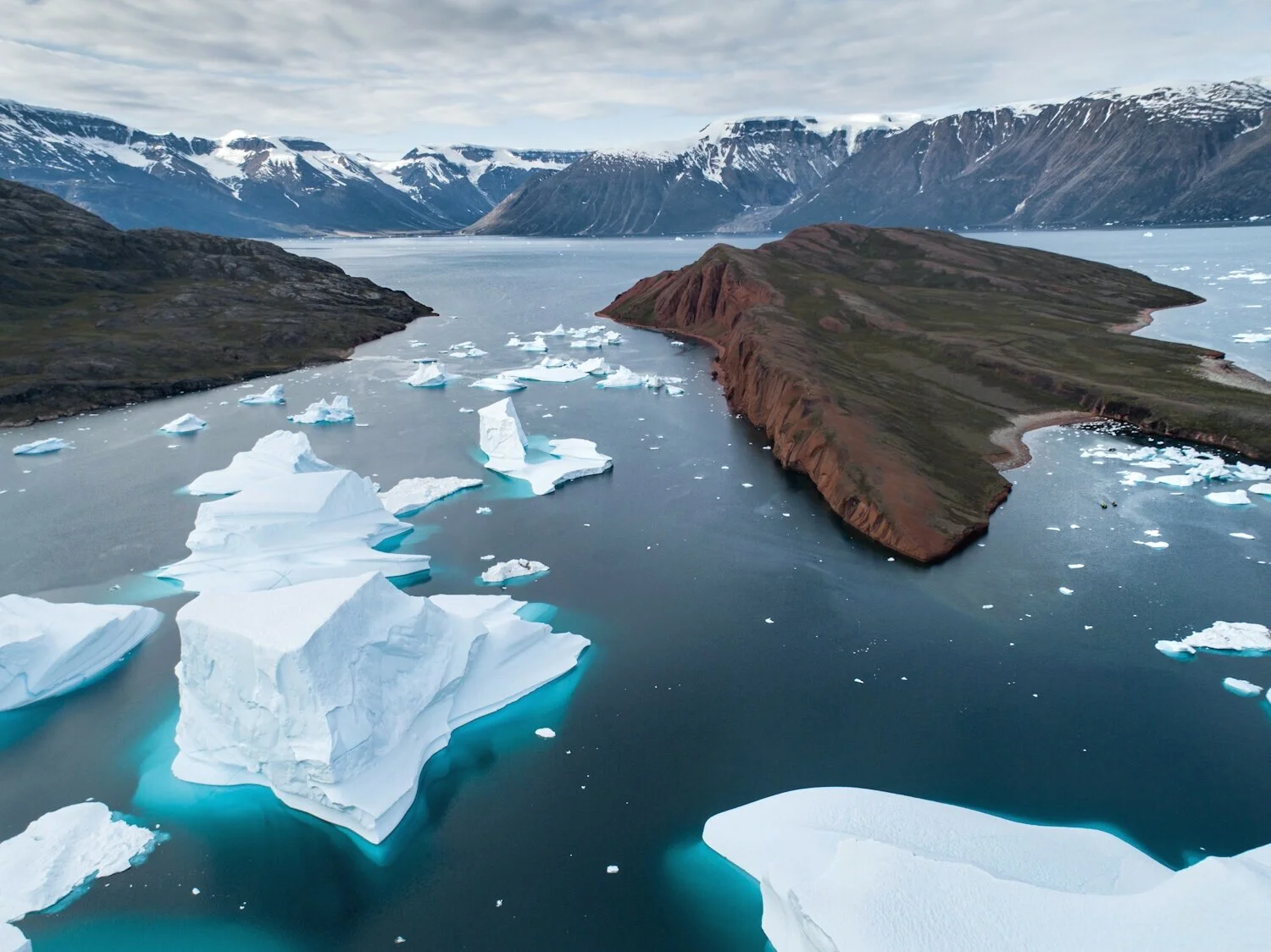 The Laid-Back Company