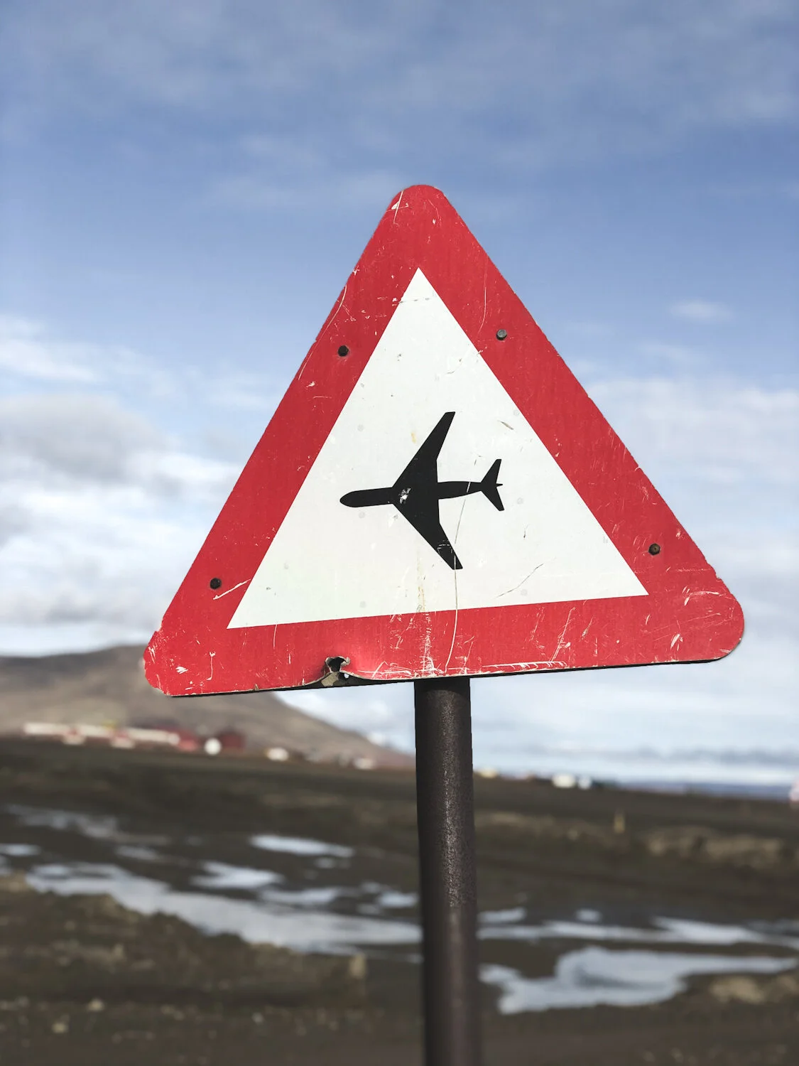 The Laid-Back Company