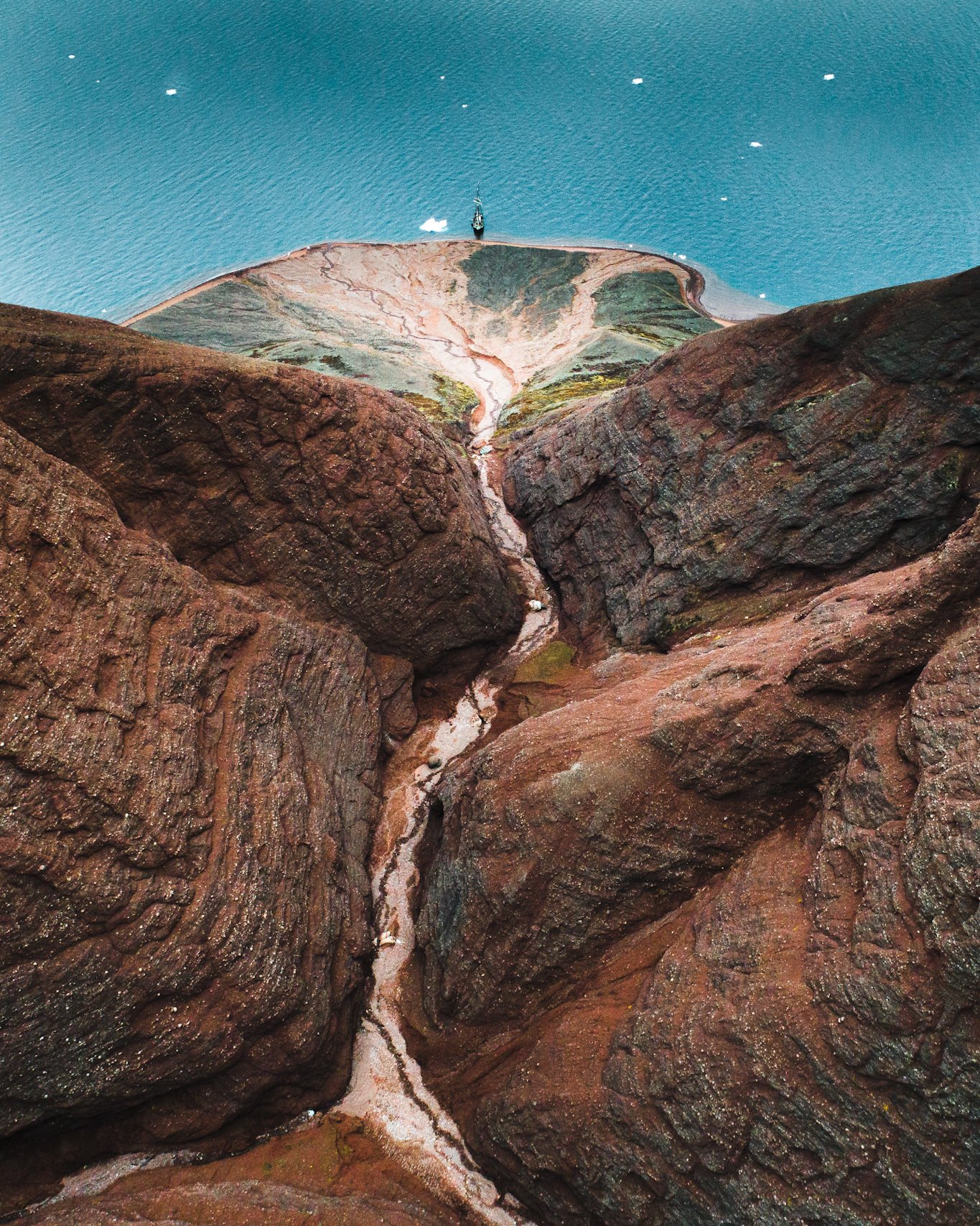 The Laid-Back Company