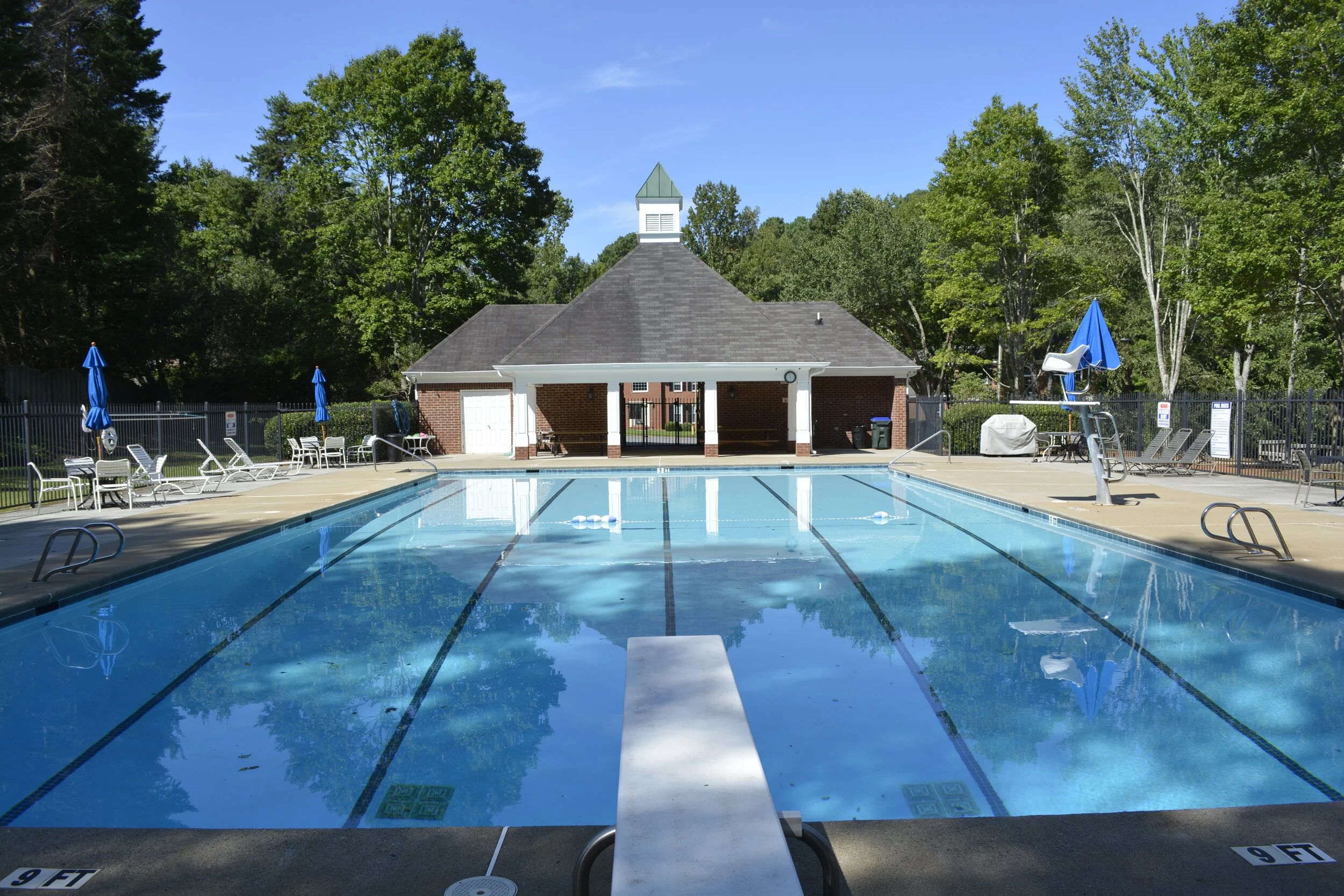 Pool & Tennis — Saddlebrook Forest