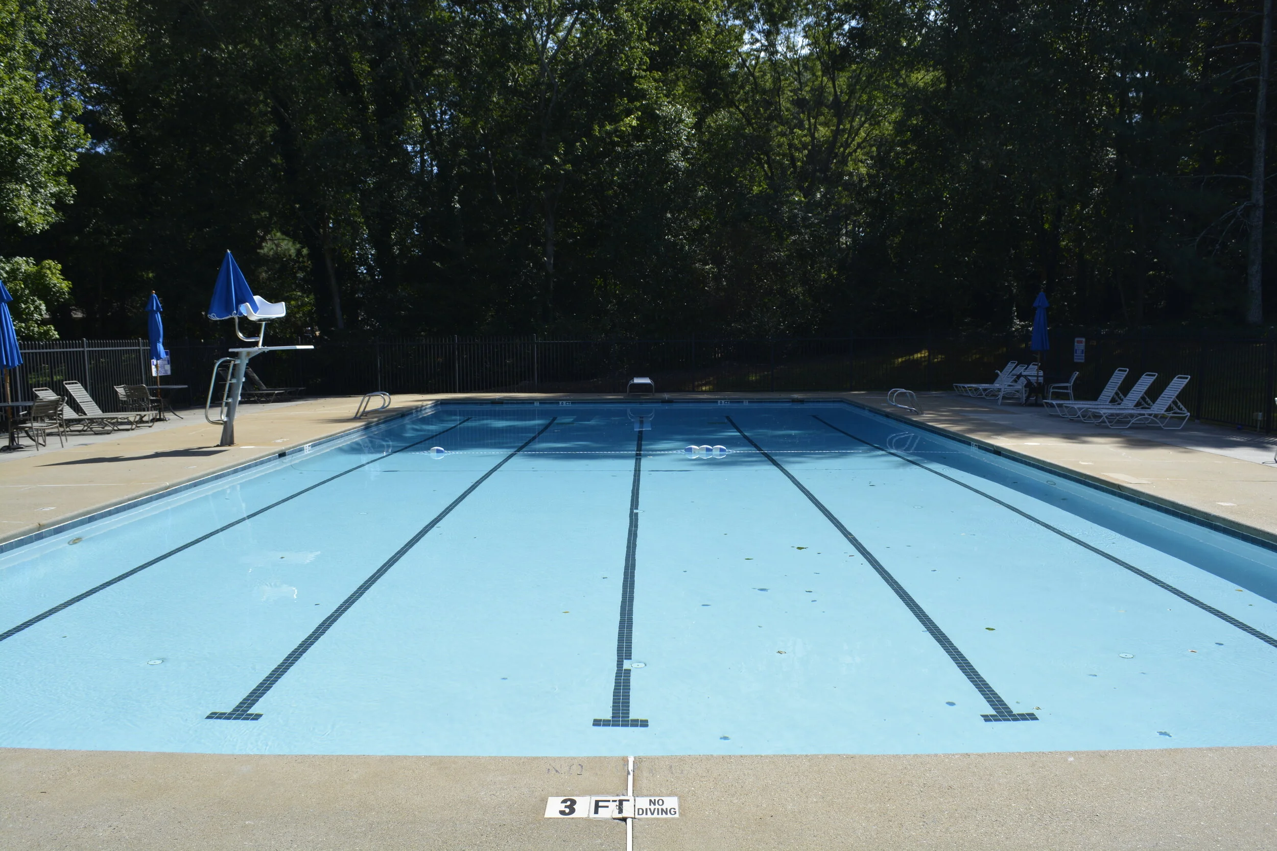 Pool & Tennis — Saddlebrook Forest