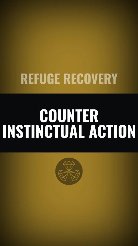 Refuge Recovery: A Buddhist Path To Recovering From Addiction ...