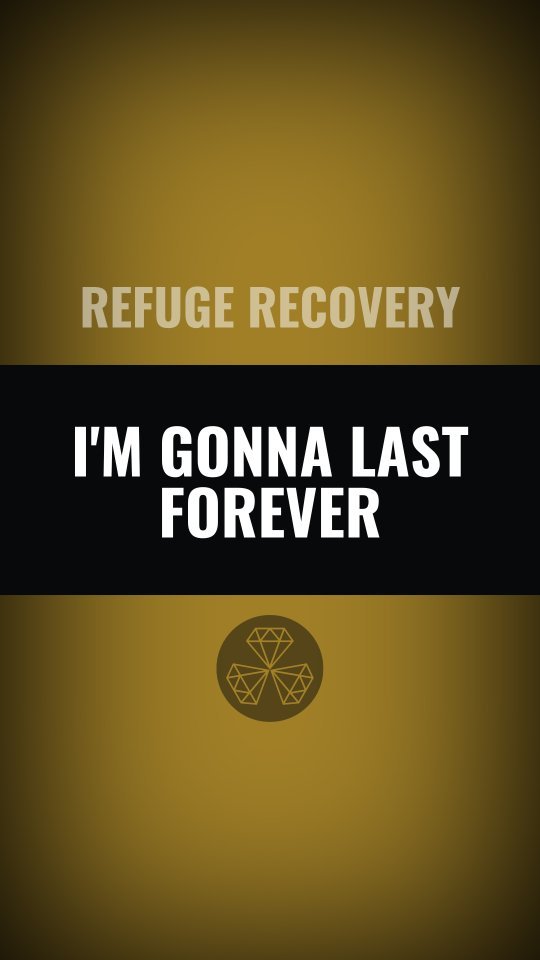 Refuge Recovery World Services