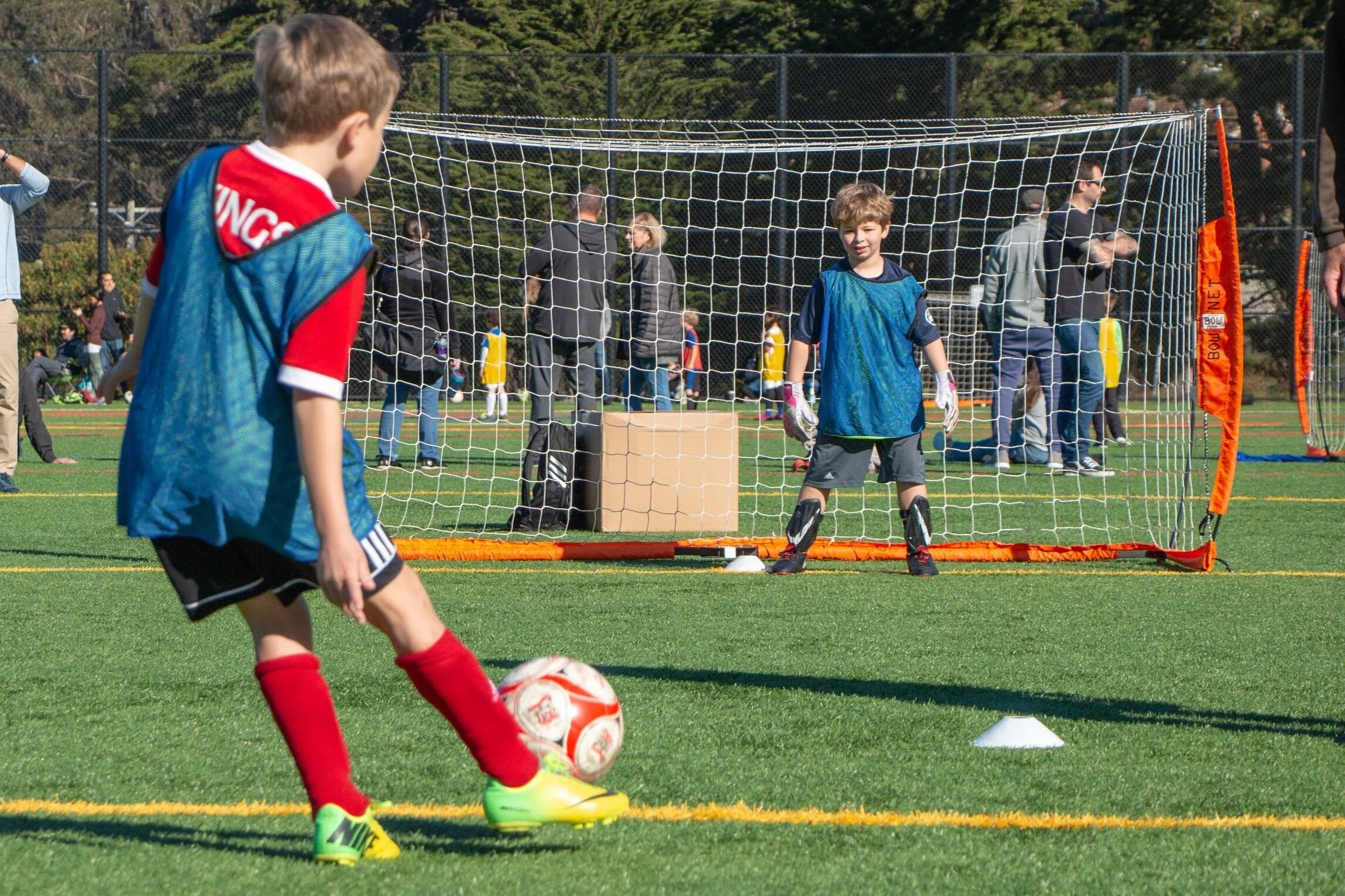 SF Vikings Soccer Club