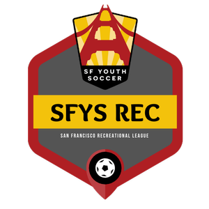 SF Vikings Soccer Club
