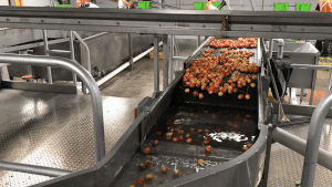 Cherry Solutions Menu — Van Doren Sales