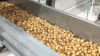 Potato Line Solutions Menu — Van Doren Sales