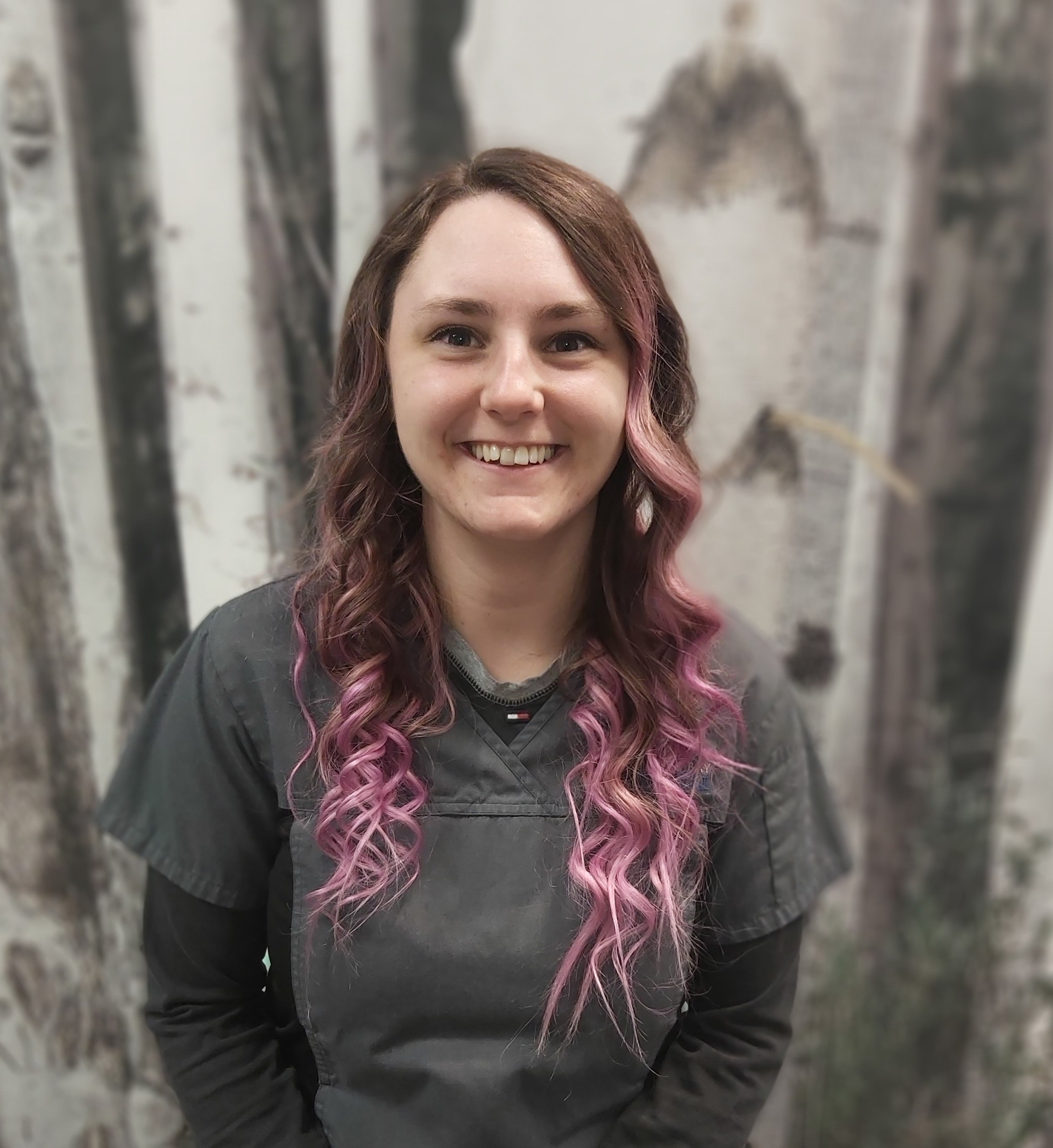 General 1 — Cook's Bay Dental