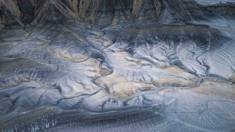 Present Moment Photographs -Fine Art Nature Photography