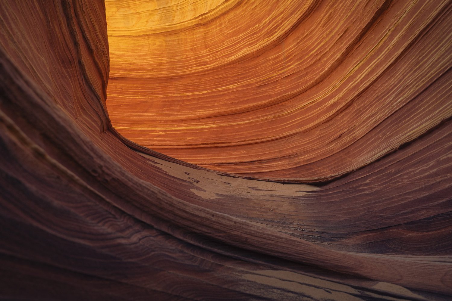 The Wave in Arizona | Landscape Photography Tips and Tricks