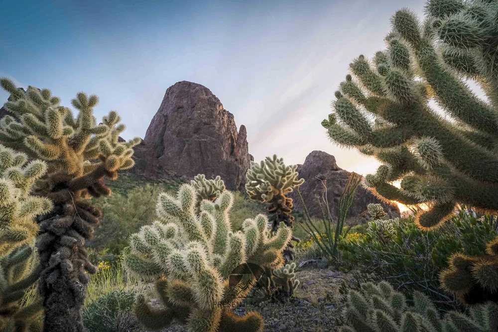 Master Focus Stacking for Sharp Landscape Photography