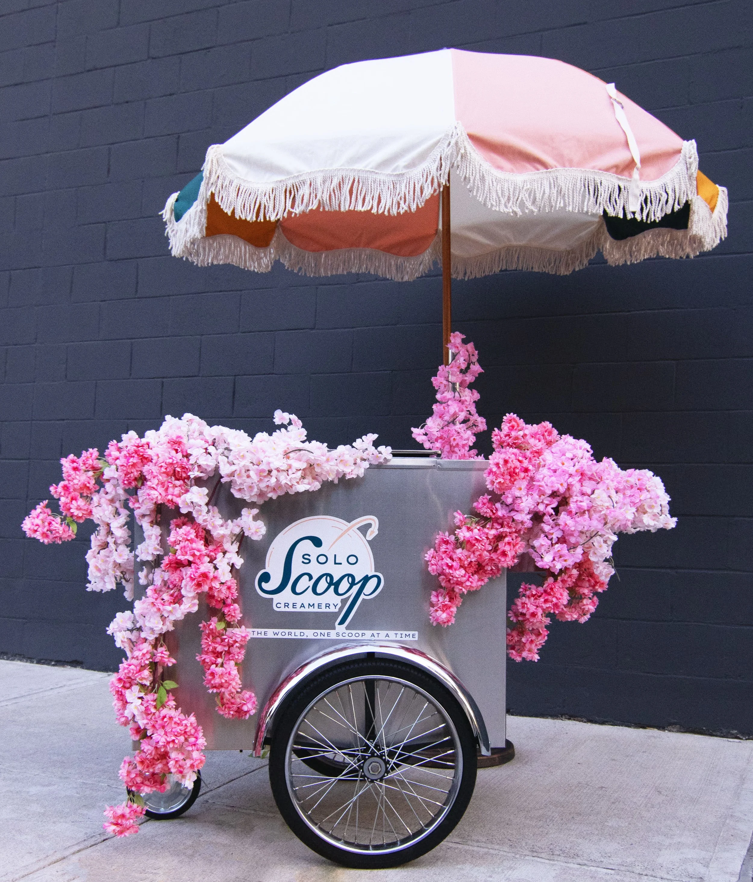 SOLO SCOOP CREAMERY