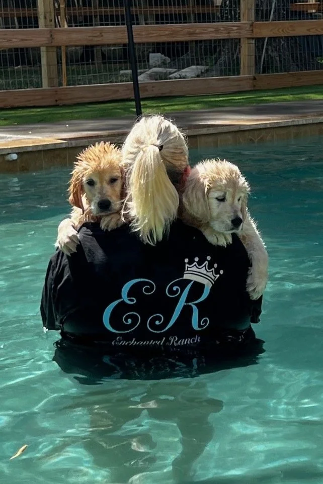 Contact — Enchanted Ranch Dog Training | Spring, Texas