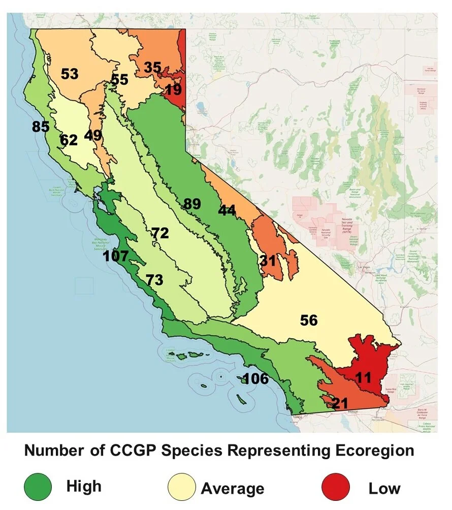 CCGP — Maps
