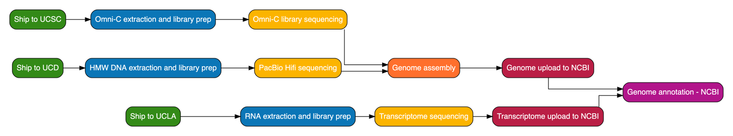 CCGP — Reference Genomes - Tracking