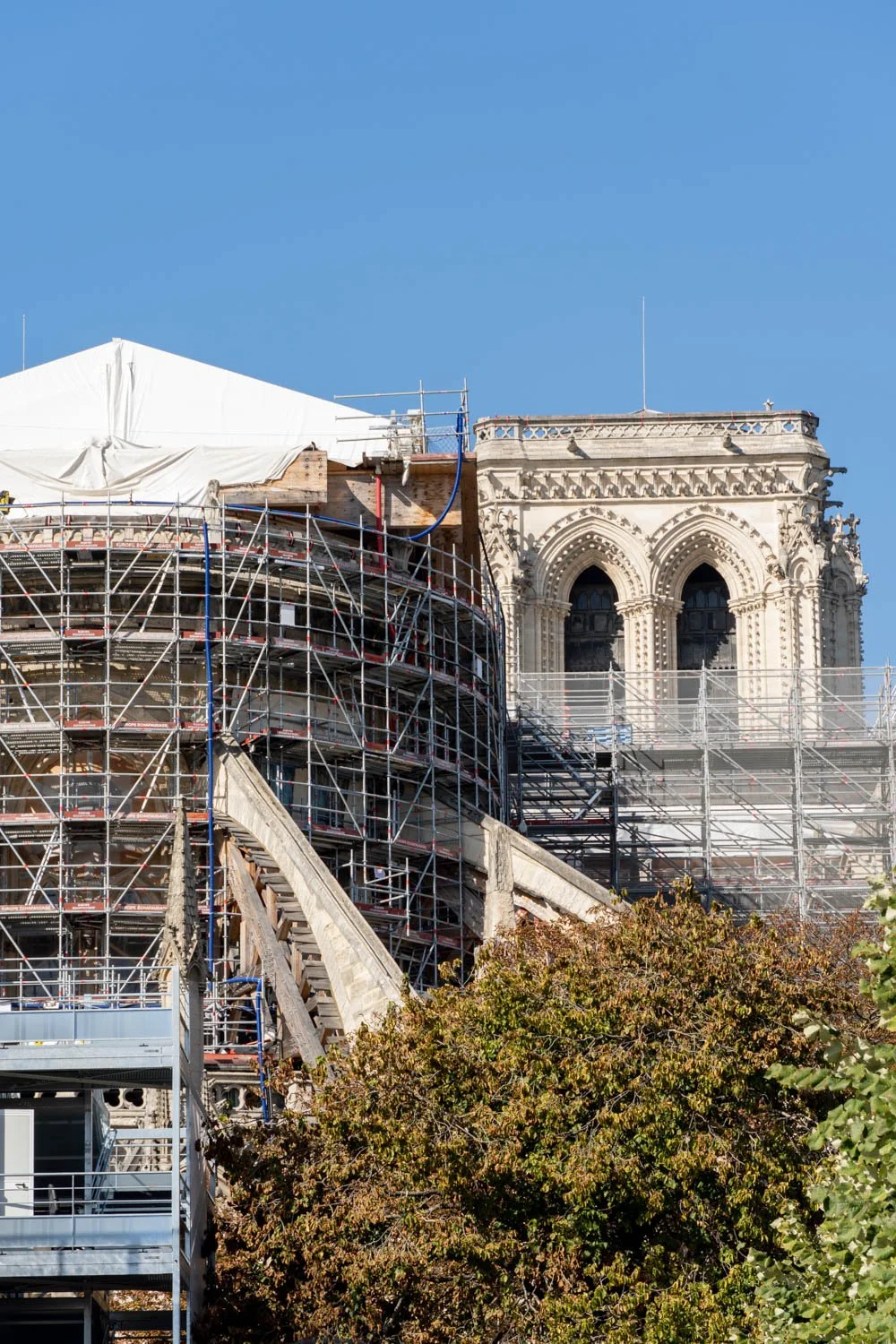 The First Months of a Renaissance — Timages Gallery