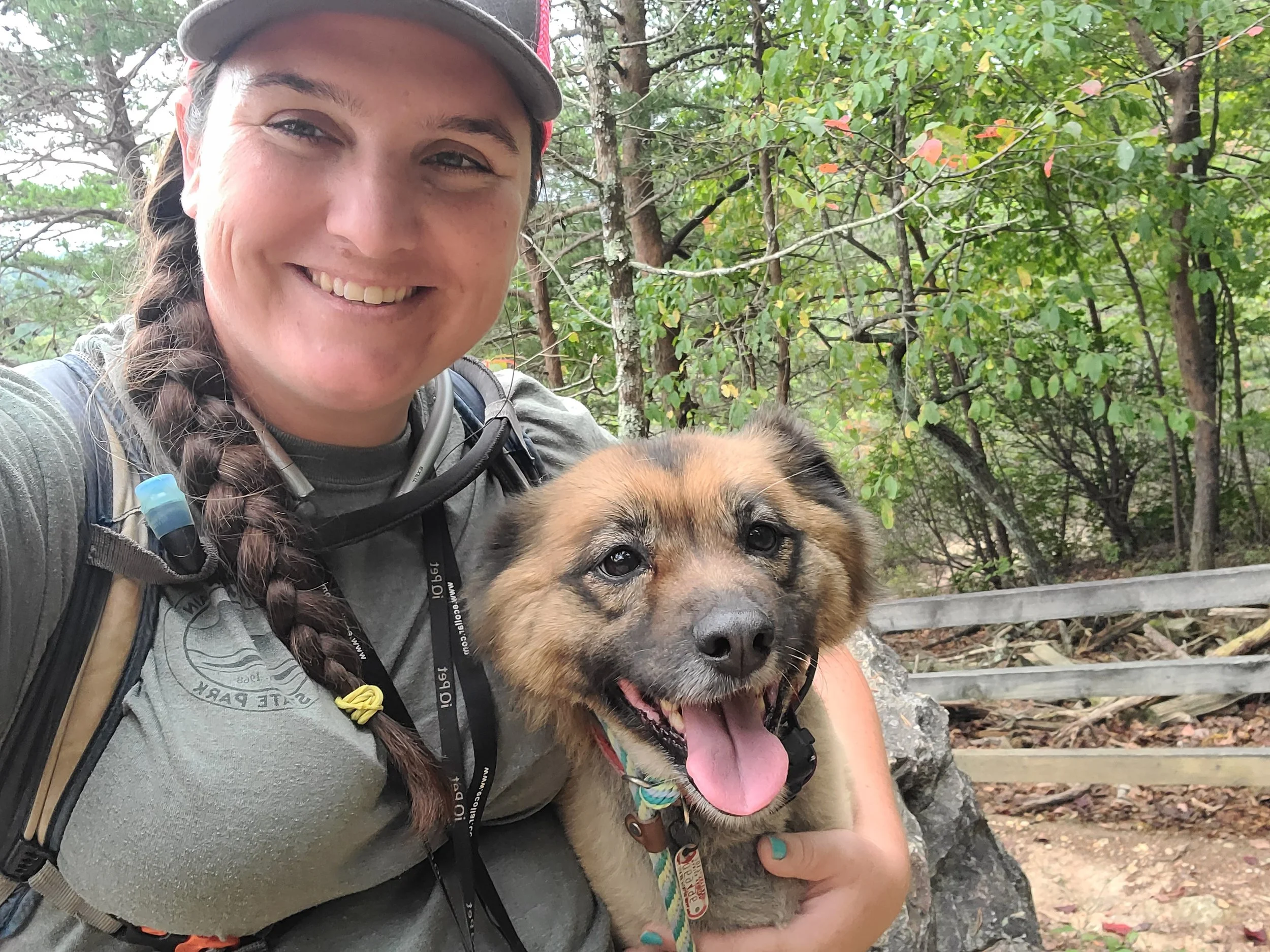 Training — K9 Pack