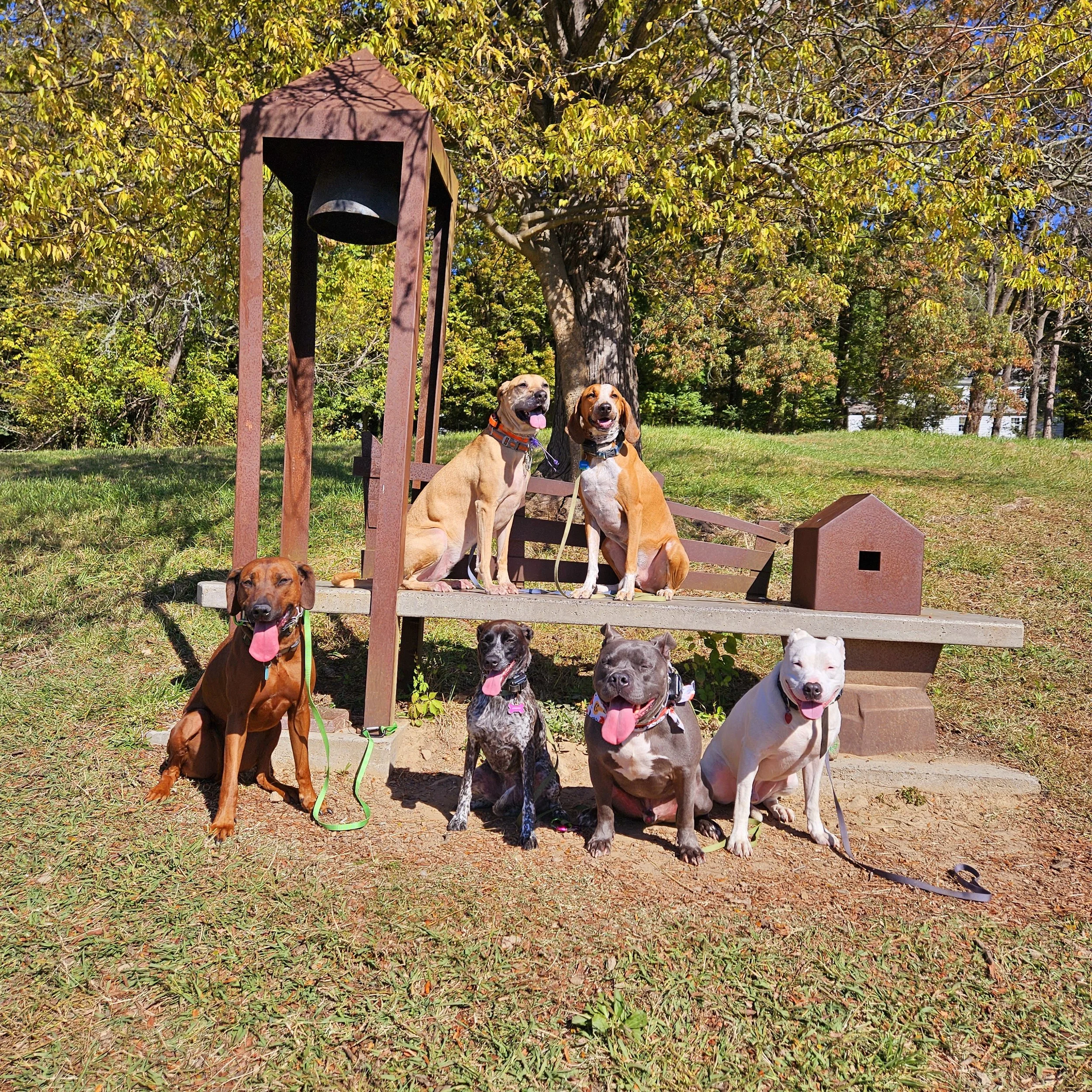 K9 Pack