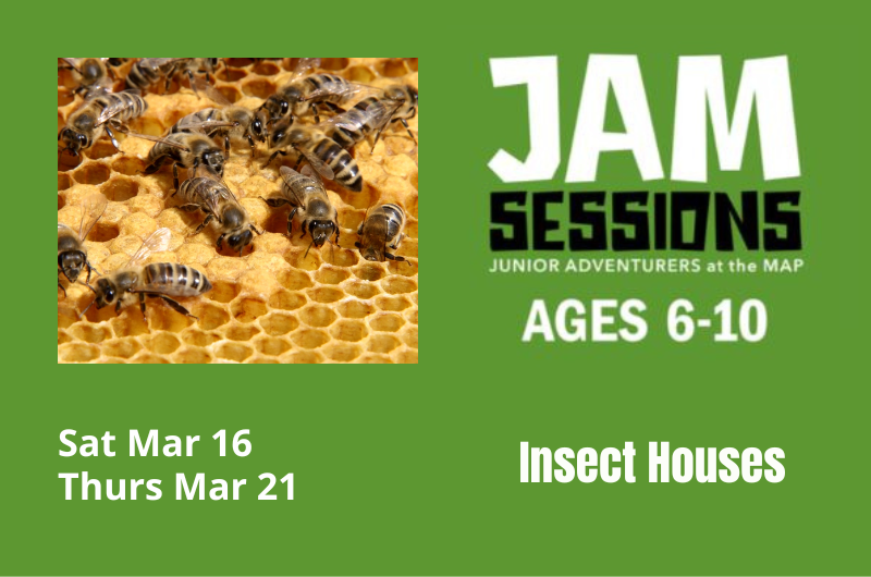 JAM Sessions: Insect Houses — Museum at Prairiefire