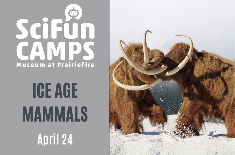 SciFun Camp: Ice Age Mammals — Museum at Prairiefire