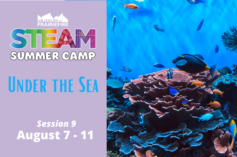 STEAM Summer Camp: Under the Sea — Museum at Prairiefire