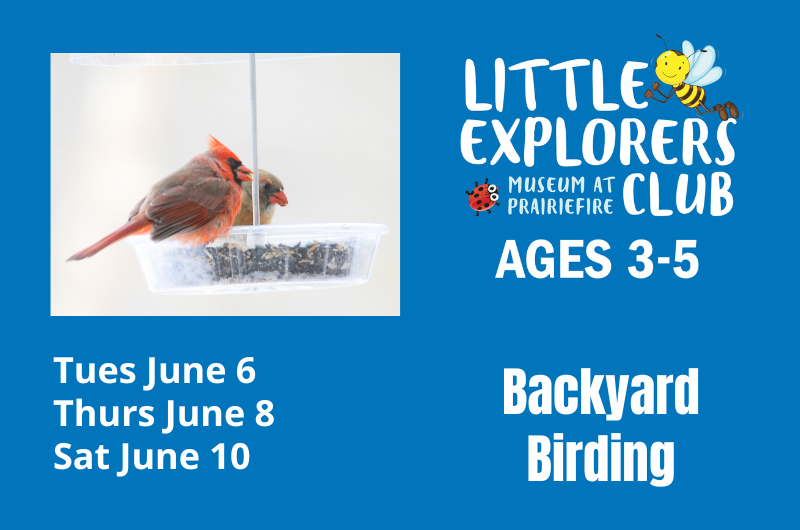Little Explorers Club: Backyard Birding — Museum at Prairiefire