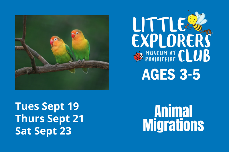 Little Explorer’s Club + Animal Migrations — Museum at Prairiefire