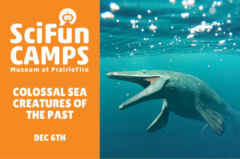 Store — Museum at Prairiefire