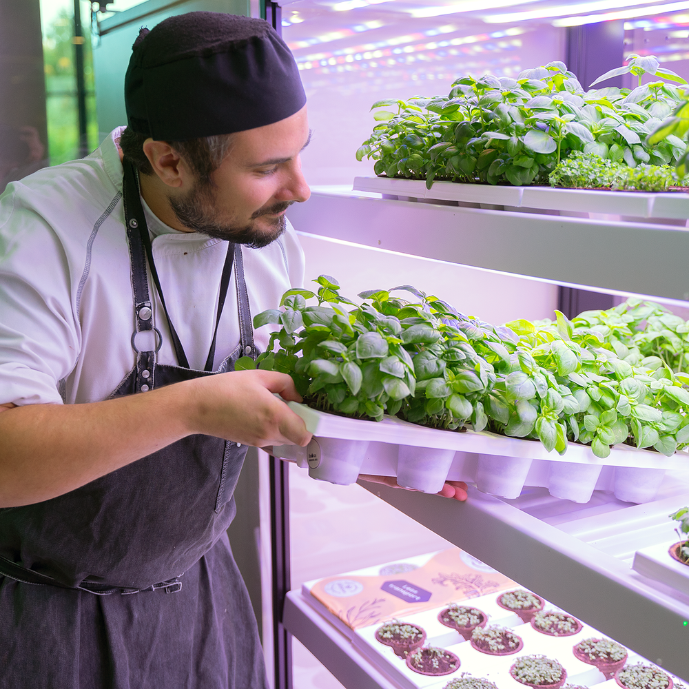 Indoor hydroponic farming in restaurants — Grönska
