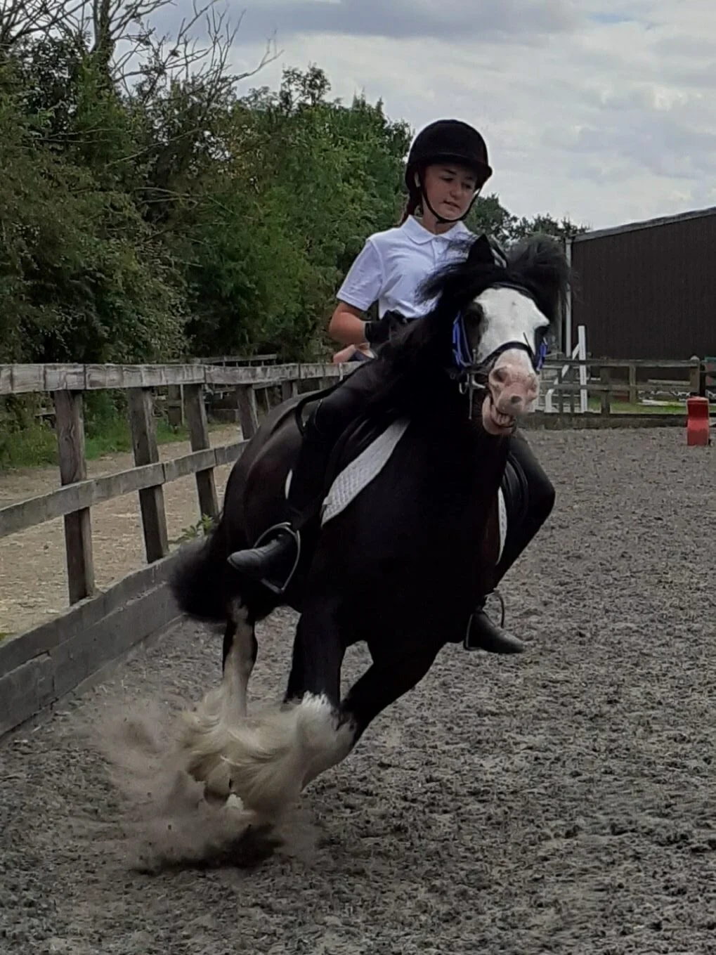 Horse riding lessons in Huntingdon Cambridgeshire — Monach Horse Riding ...