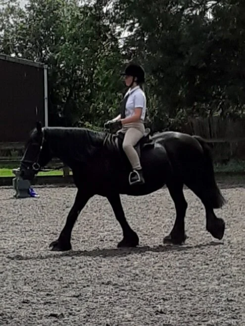 Horse riding lessons in Huntingdon Cambridgeshire — Monach Horse Riding ...
