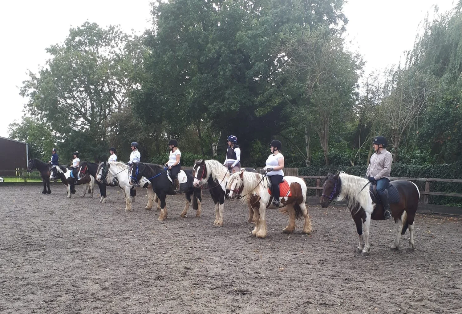 Horse riding lessons in Huntingdon Cambridgeshire