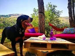 10+ Best Places to Camp in Lebanon — THE REMOTE TRAVELLER