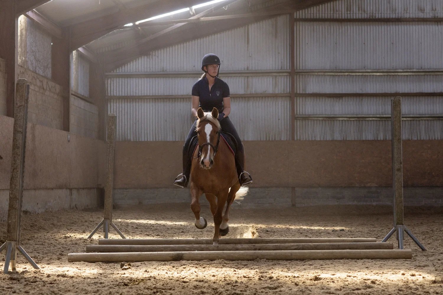 Carrickmines Equestrian Centre