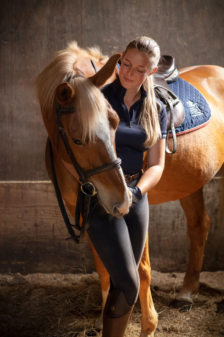 Livery — Carrickmines Equestrian Centre