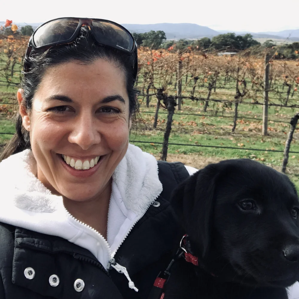 About — Quartz Veterinary Ultrasound