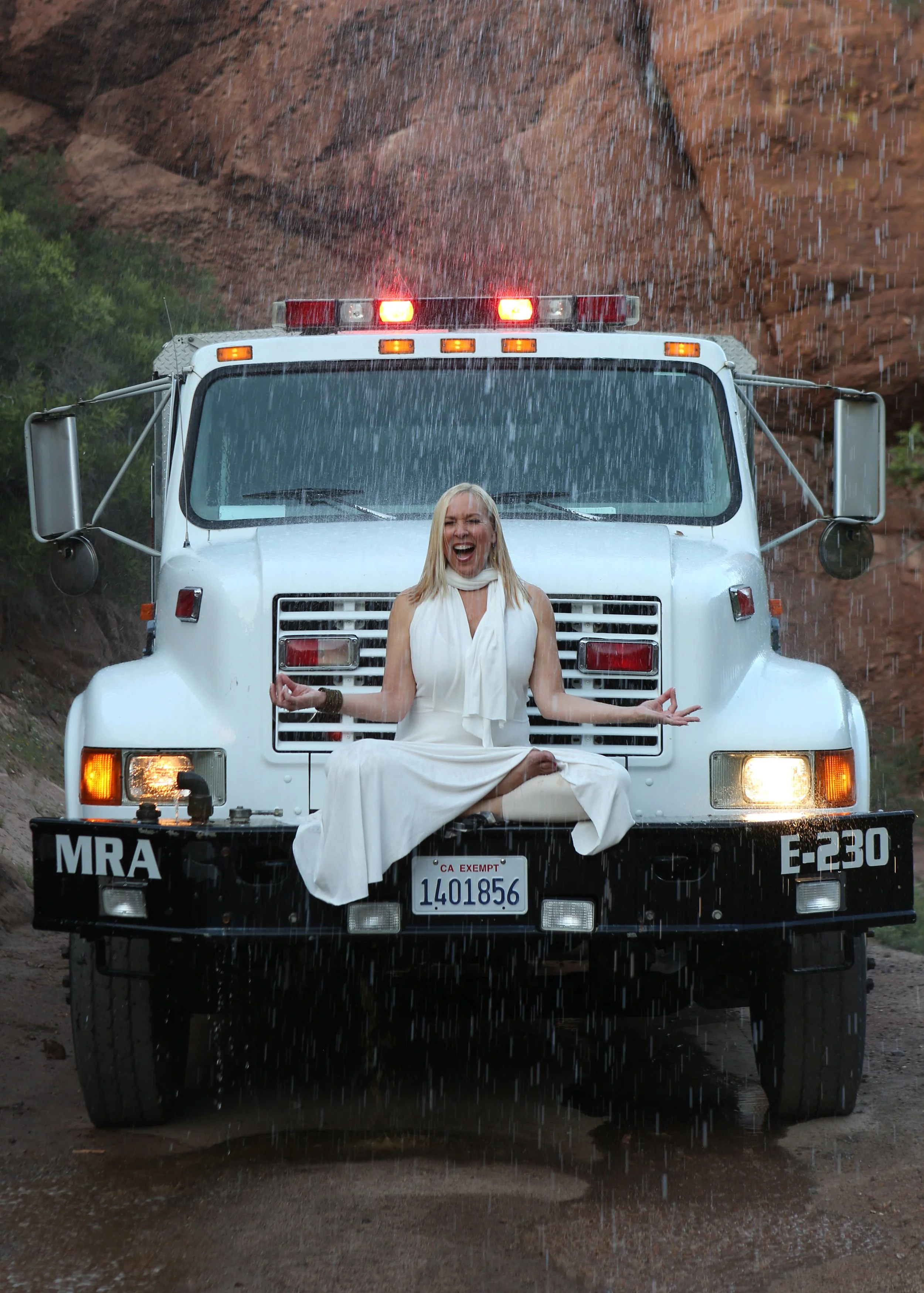 Dream Expert | Dream Therapist | Kelly Sullivan Walden