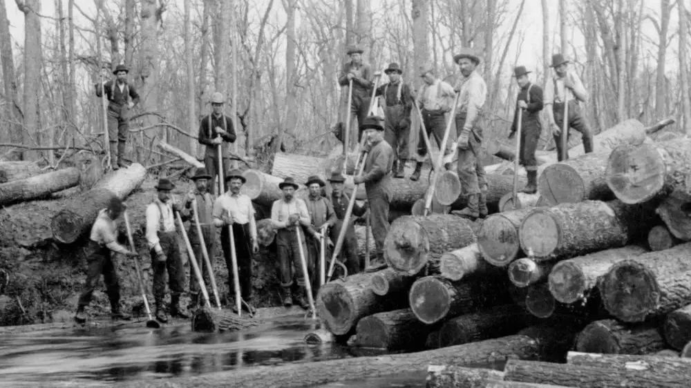 What’s a River Pig? — Pearl District Portfolio