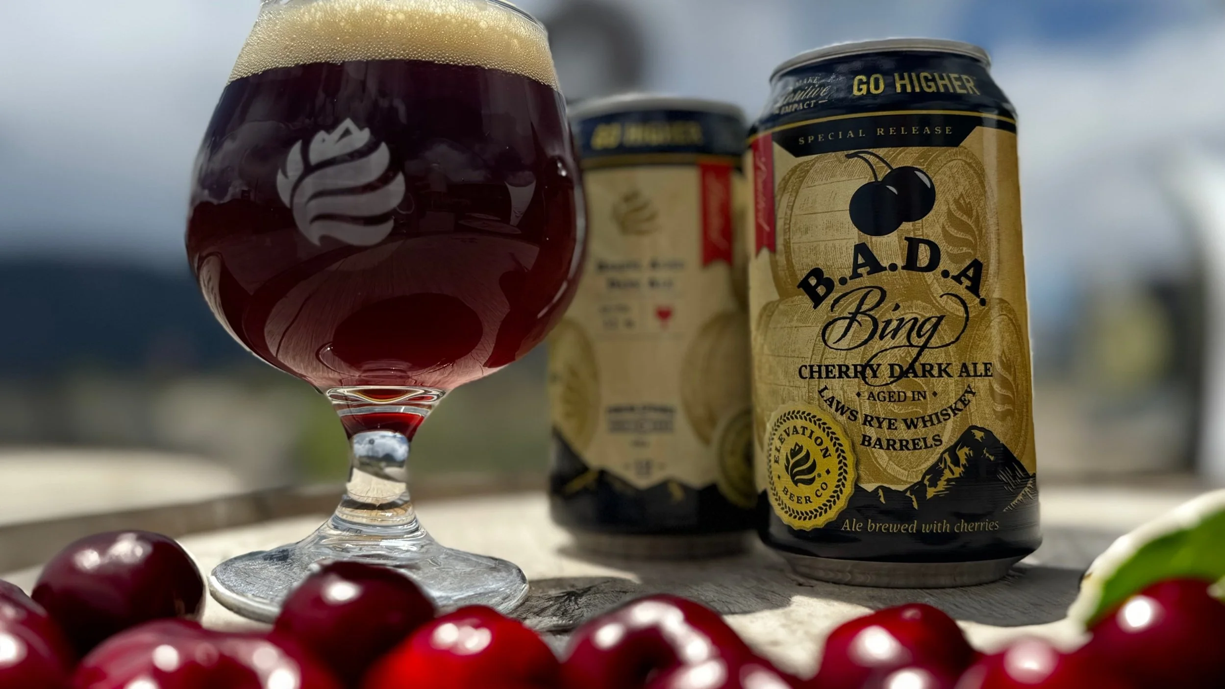 Elevation Beer Company