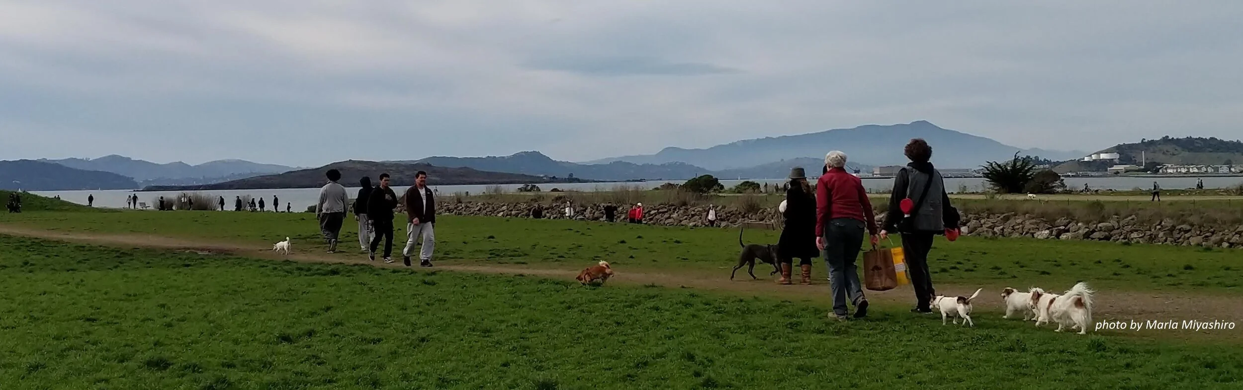 Point Isabel Regional Shoreline — PIDO