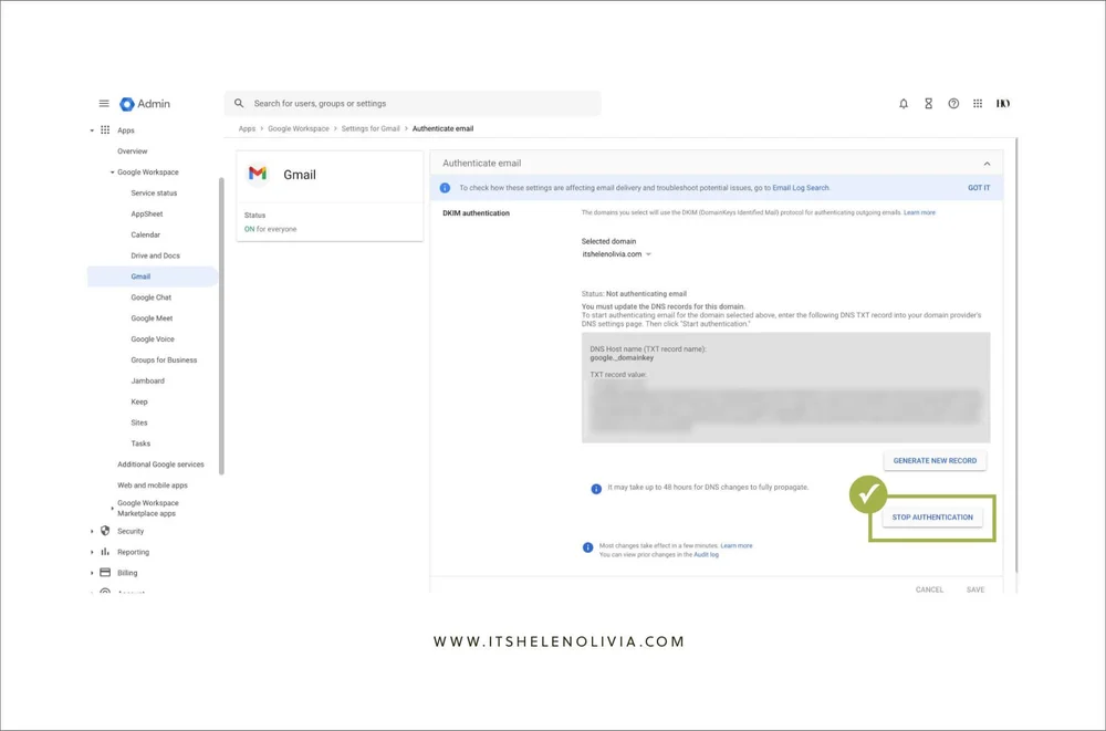 DKIM, DMARC, SPF Setup for Google Workspace and Squarespace — Squarespace Designer | Helen Olivia