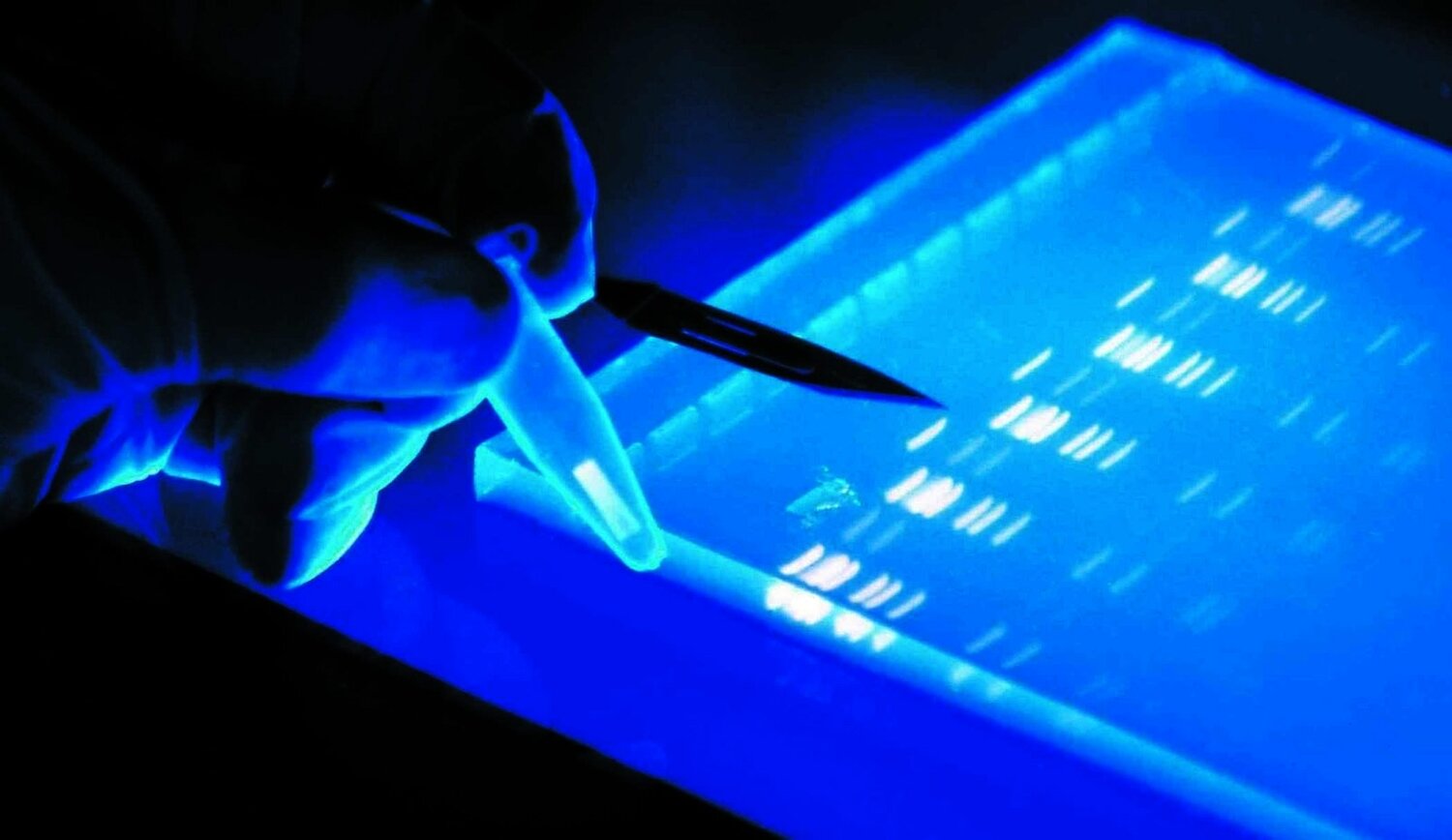 Browse all products — STEM Reactor: Biotechnology for schools