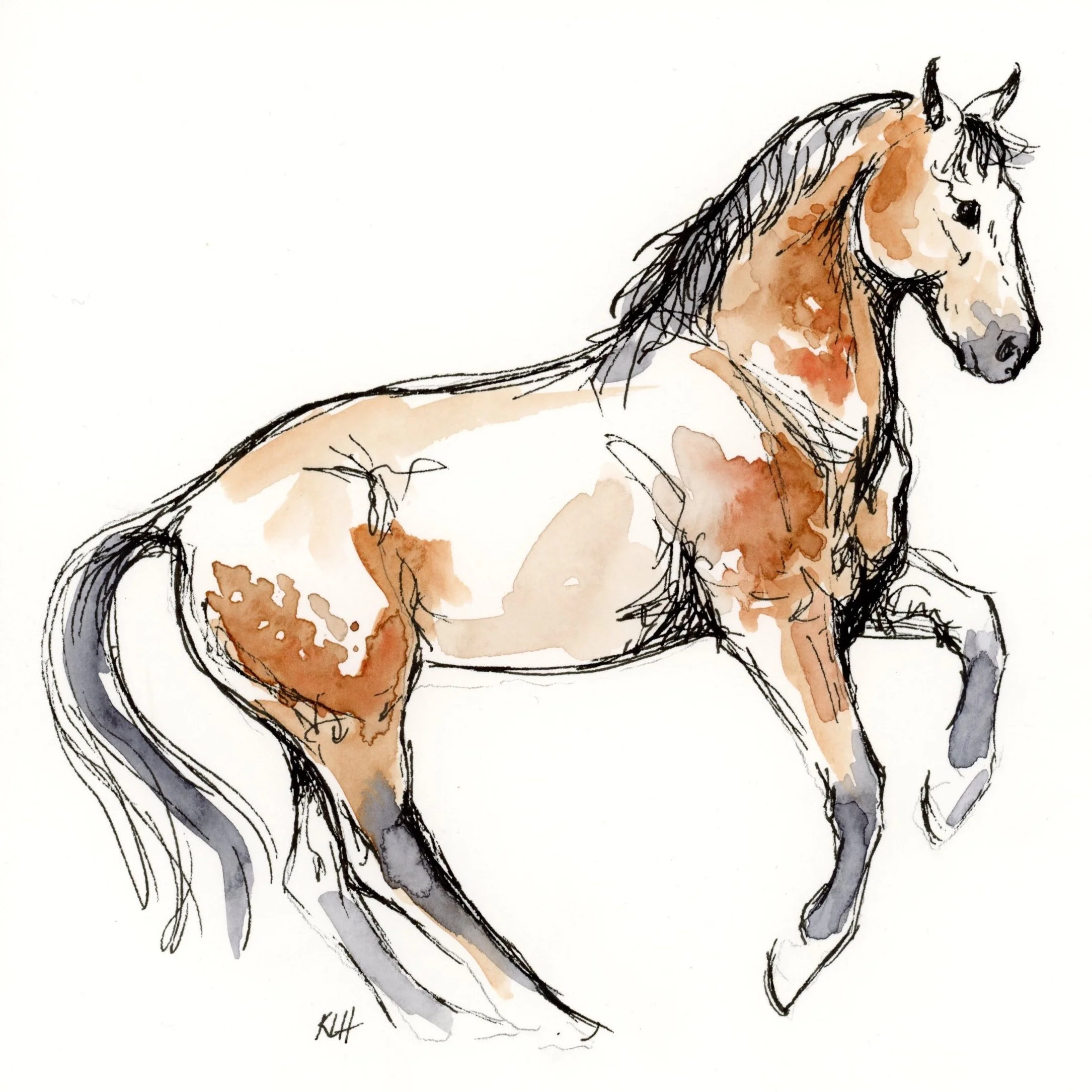Horse Cantering Drawing