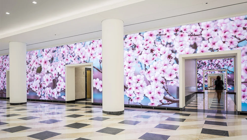 Yu-Ting Feng/ Ting Feng 馮鈺婷