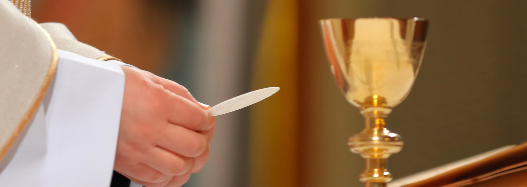 Mass Times - Sacraments - Adoration — Saint Elizabeth Ann Seton Catholic Church