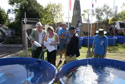 About the AKA — Australian KOI Association