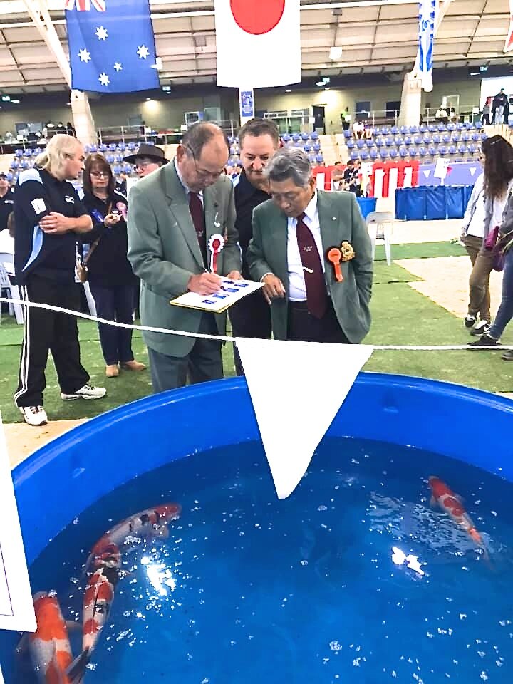 Meetings and shows — Australian KOI Association