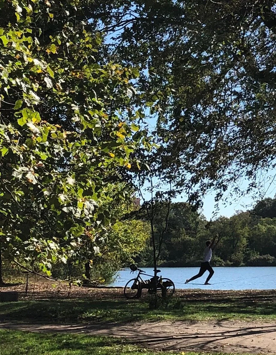 Program Overview — Honeytree Forest