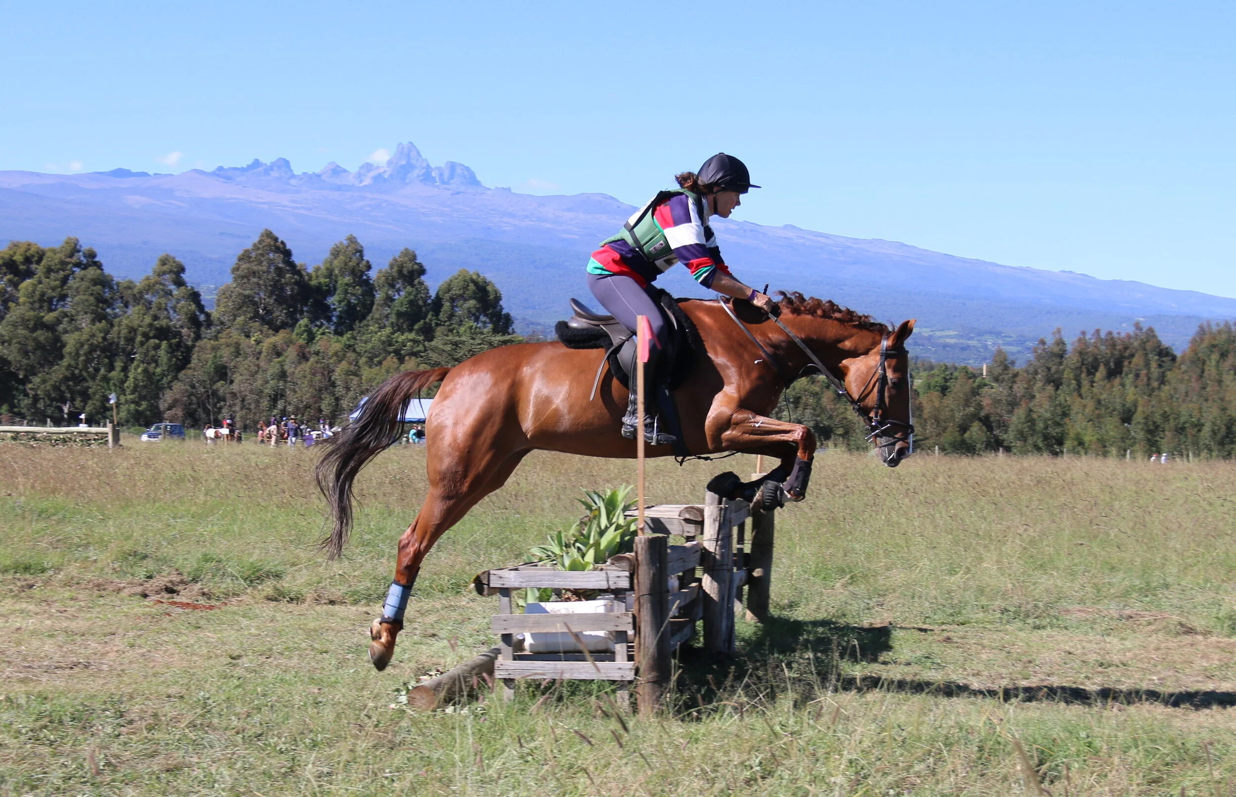 Horse Association of Kenya